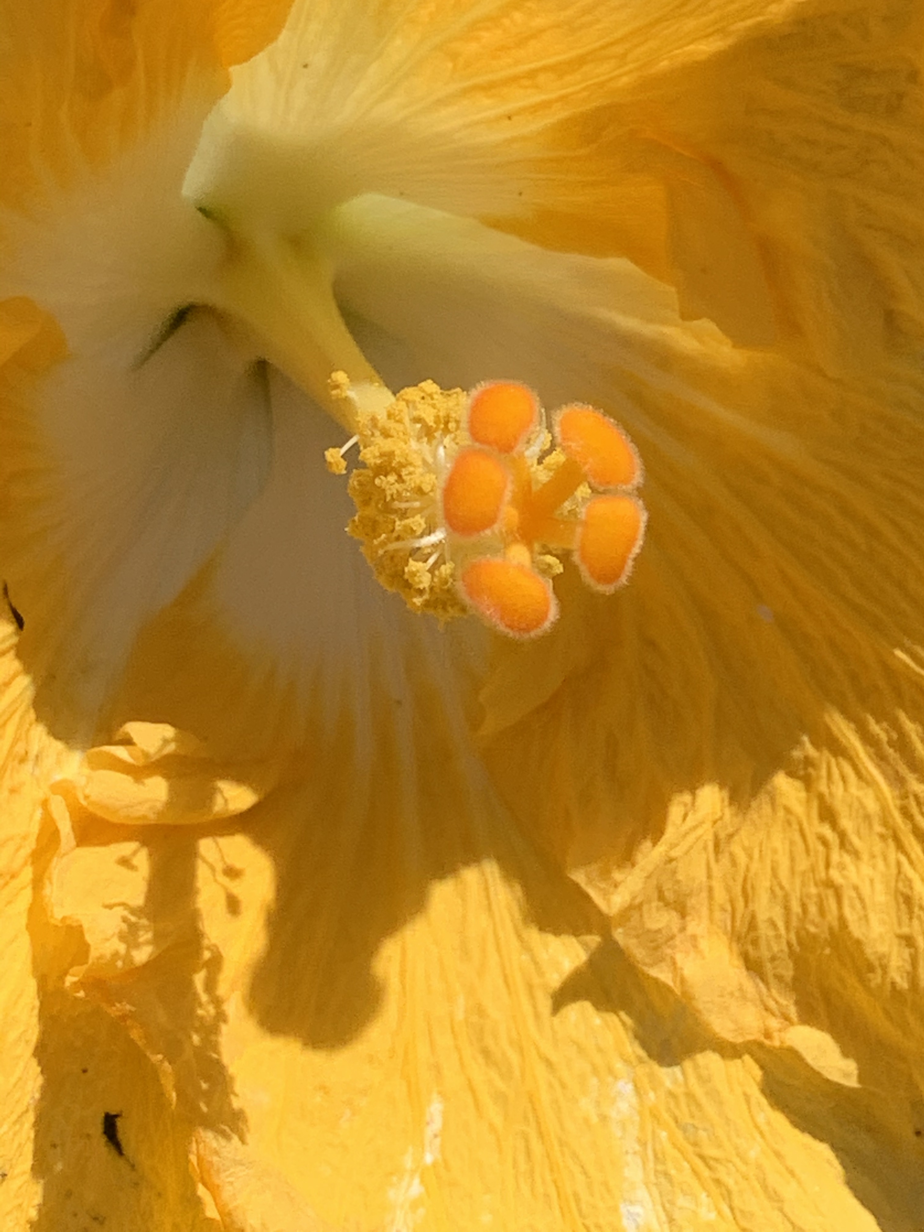 My Involuntary Sabbath | A Moment with God